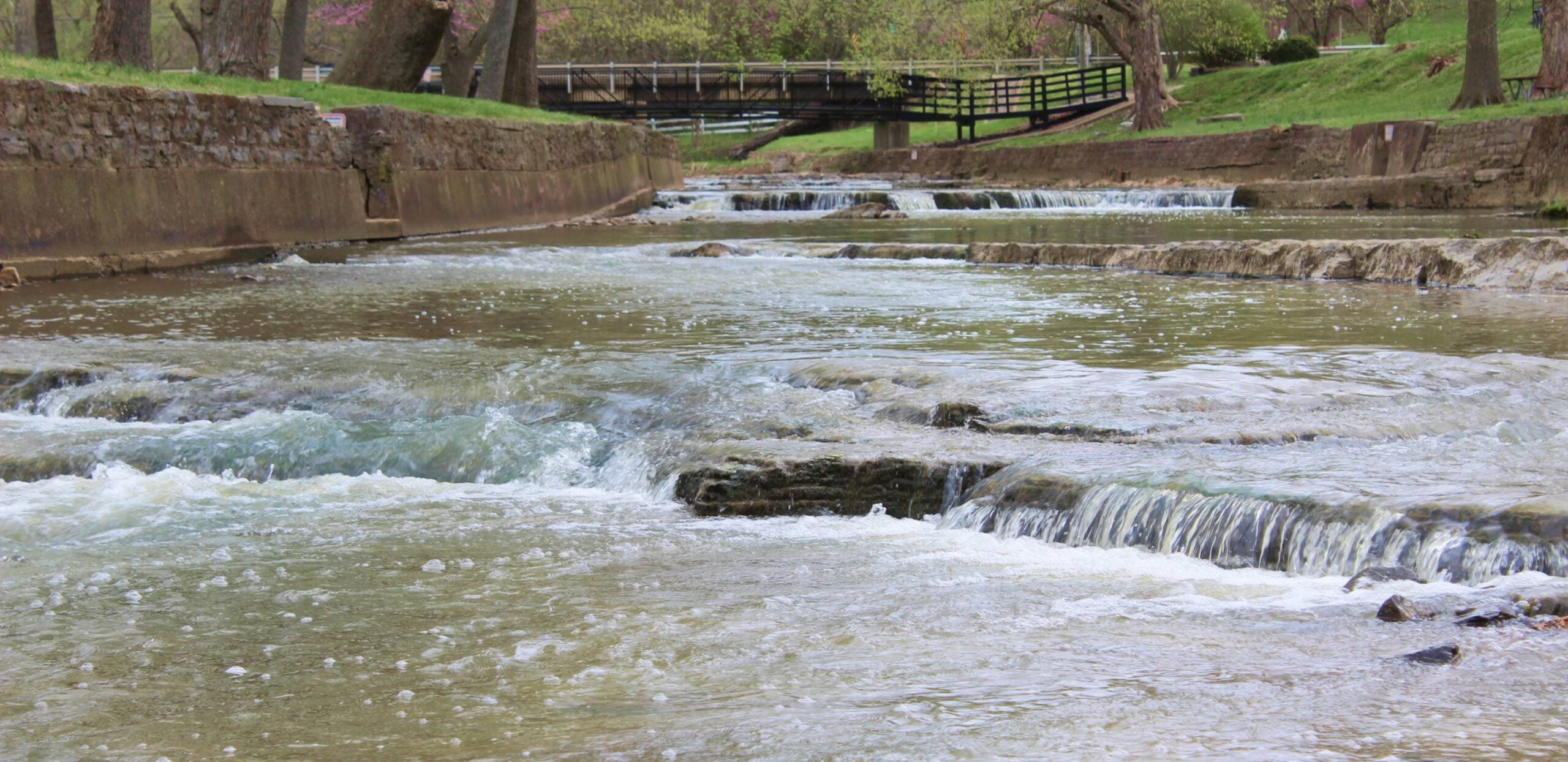 Places To Visit - Jackson Tourism